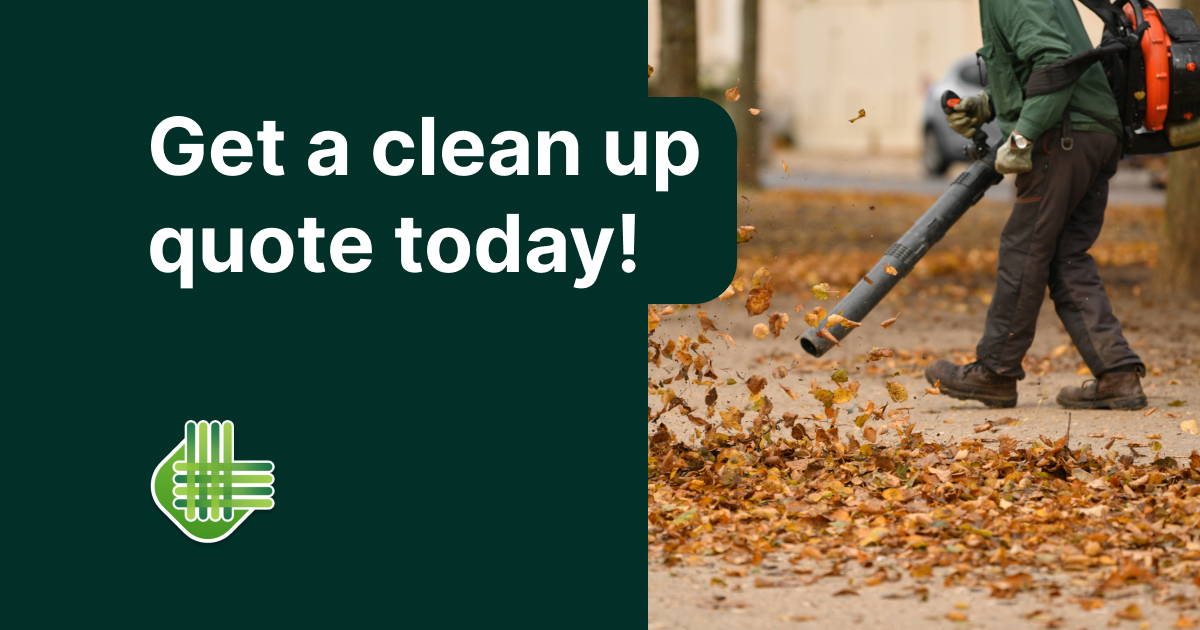 Scottsdale Yard Clean Up & Leaf Removal Service | LawnGuru